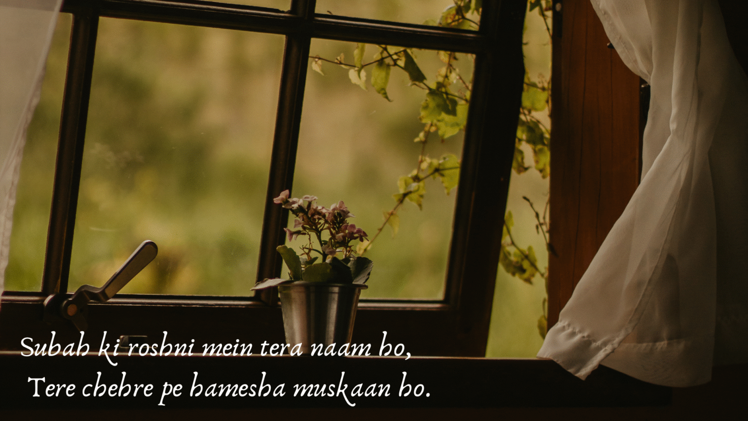 Best 200+ Good Morning Shayari | Romantic aur Motivational | गुड ...